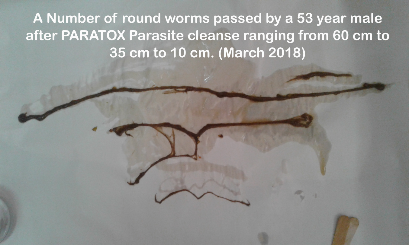 Paratox 1 – Finding Health